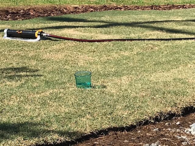 Why Is it Bad to Cut Your Grass Too Short?